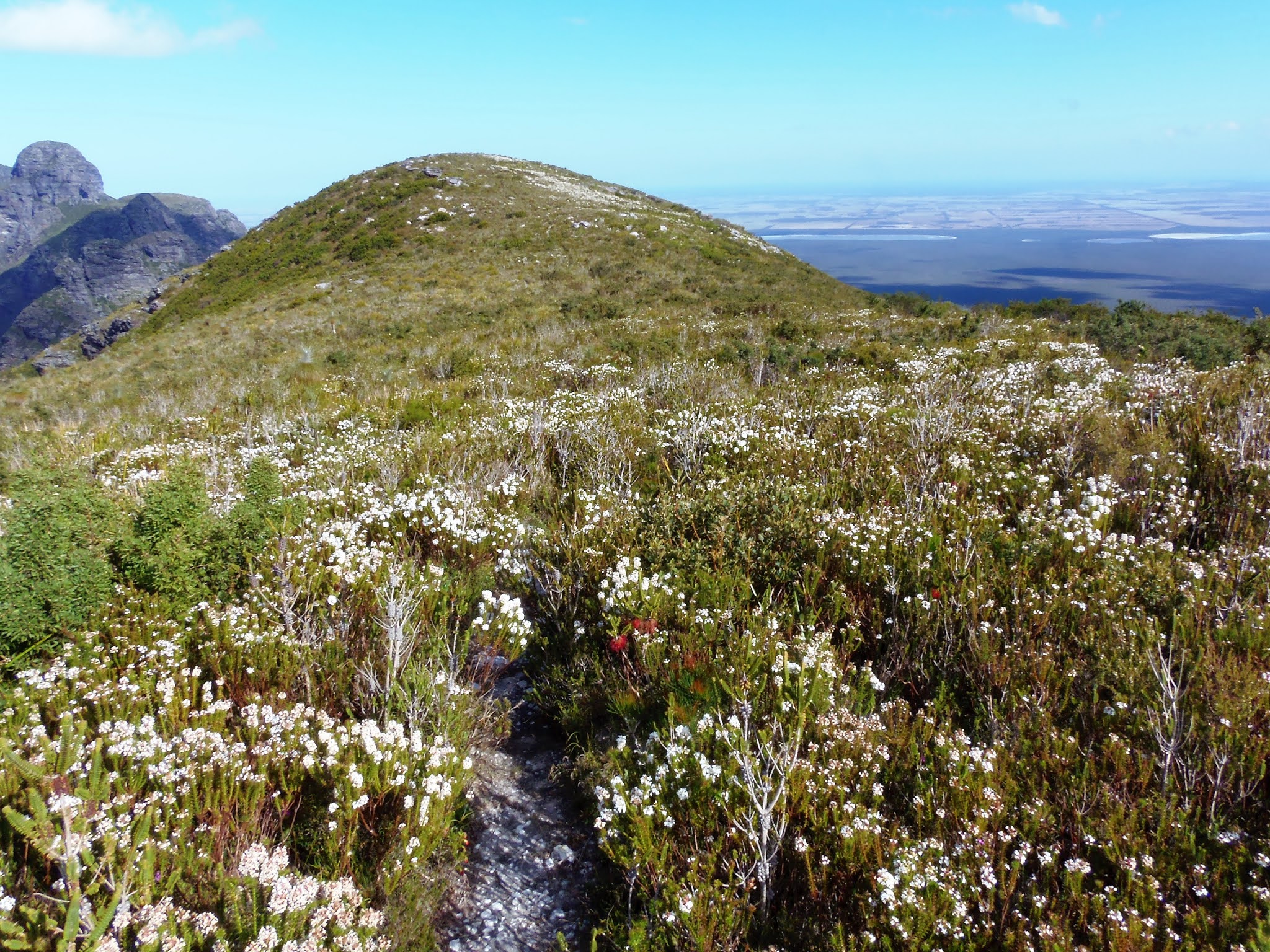 Goin' Feral One Day At A Time: Bluff Knoll Carpark to First Arrow ...