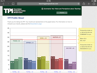 Alice's Blog: Reflection on TPI