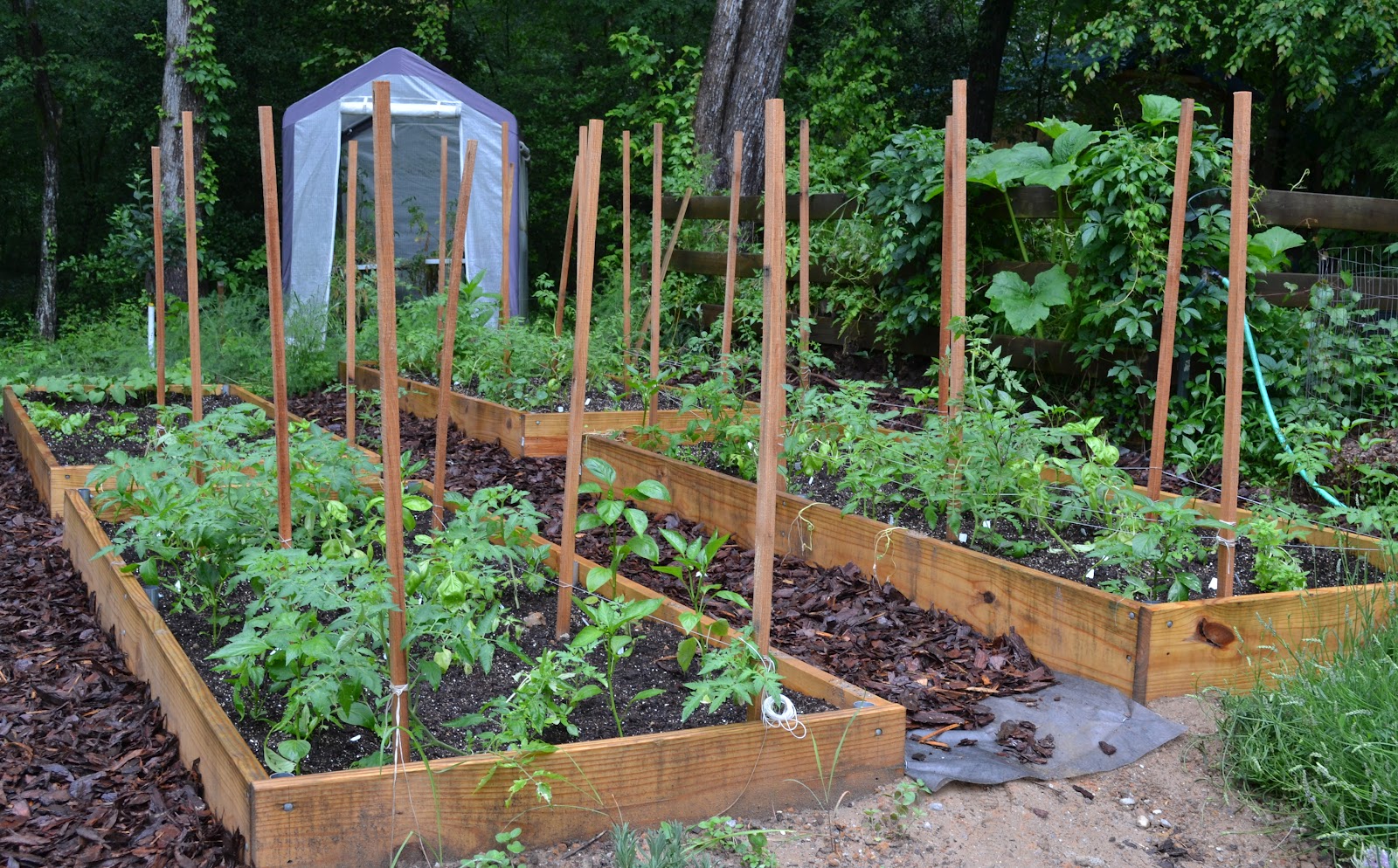 Making Beds. (Vegetable Garden Beds, That Is.)