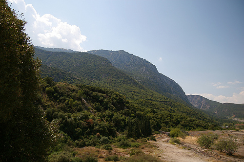 The Doc Is In: Legacy Of The Battle Of Thermopylae