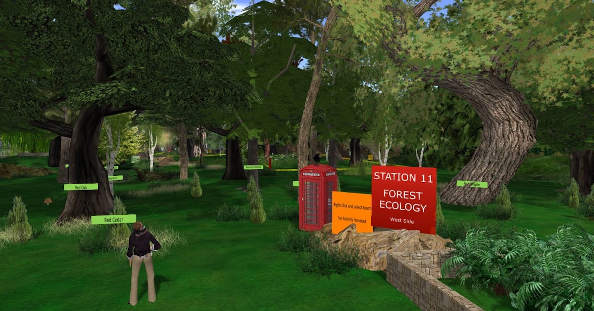 Virtual World Lesson Plan Database: The Forest Ecology Activity