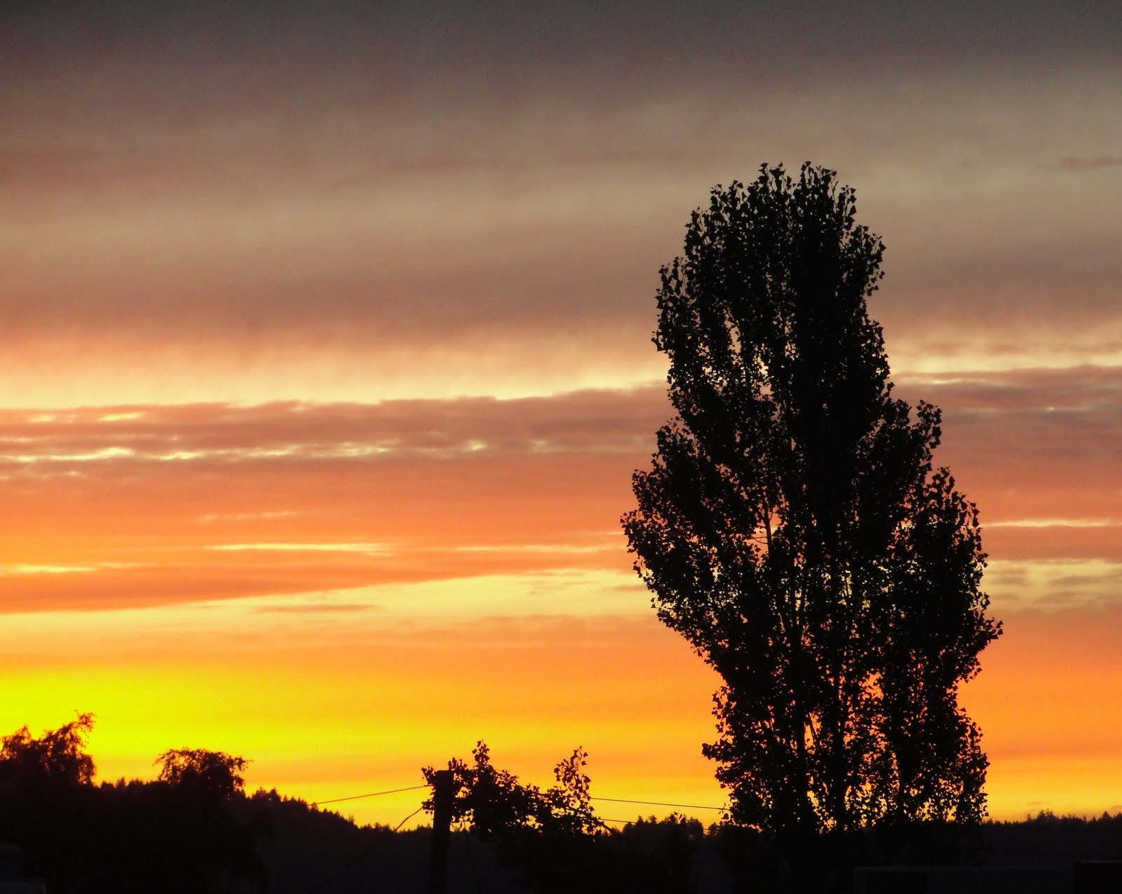 My life with the critters: Sunday Morning Sunrise