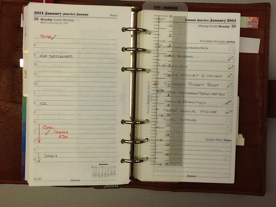 Philofaxy: Guest Post - Using Multiple Diaries - Helen.