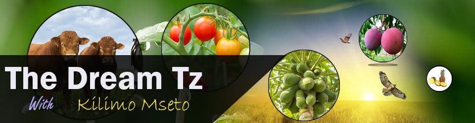 KILIMO CHA MATANGO ~ KILIMO NA UFUGAJI