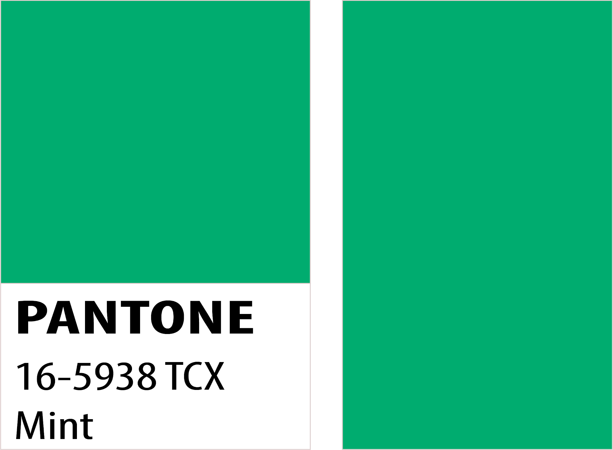 Spring Summer Color Palette 2021