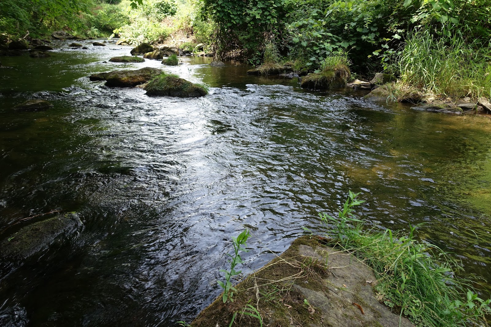 Of Rock & Riffle: Escaping the low and slow flows of summer...