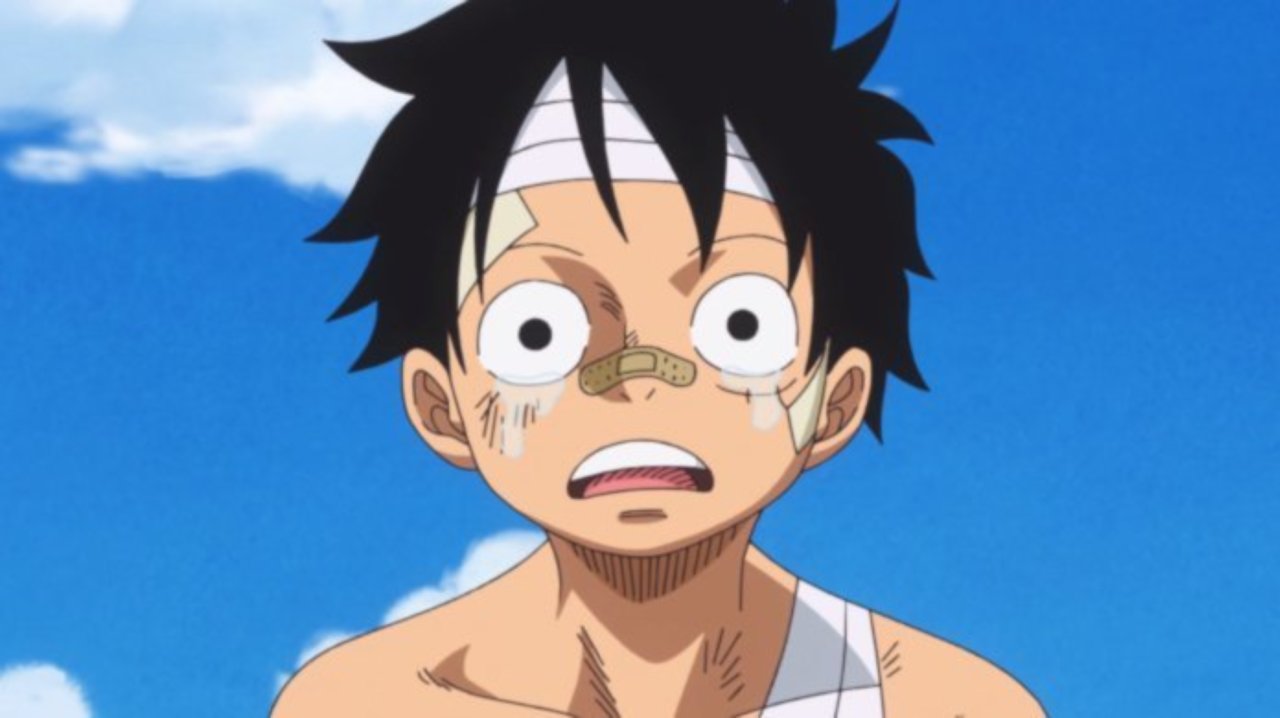 One Piece Introduces New Clone-Clone Fruit User - All the updates of ...