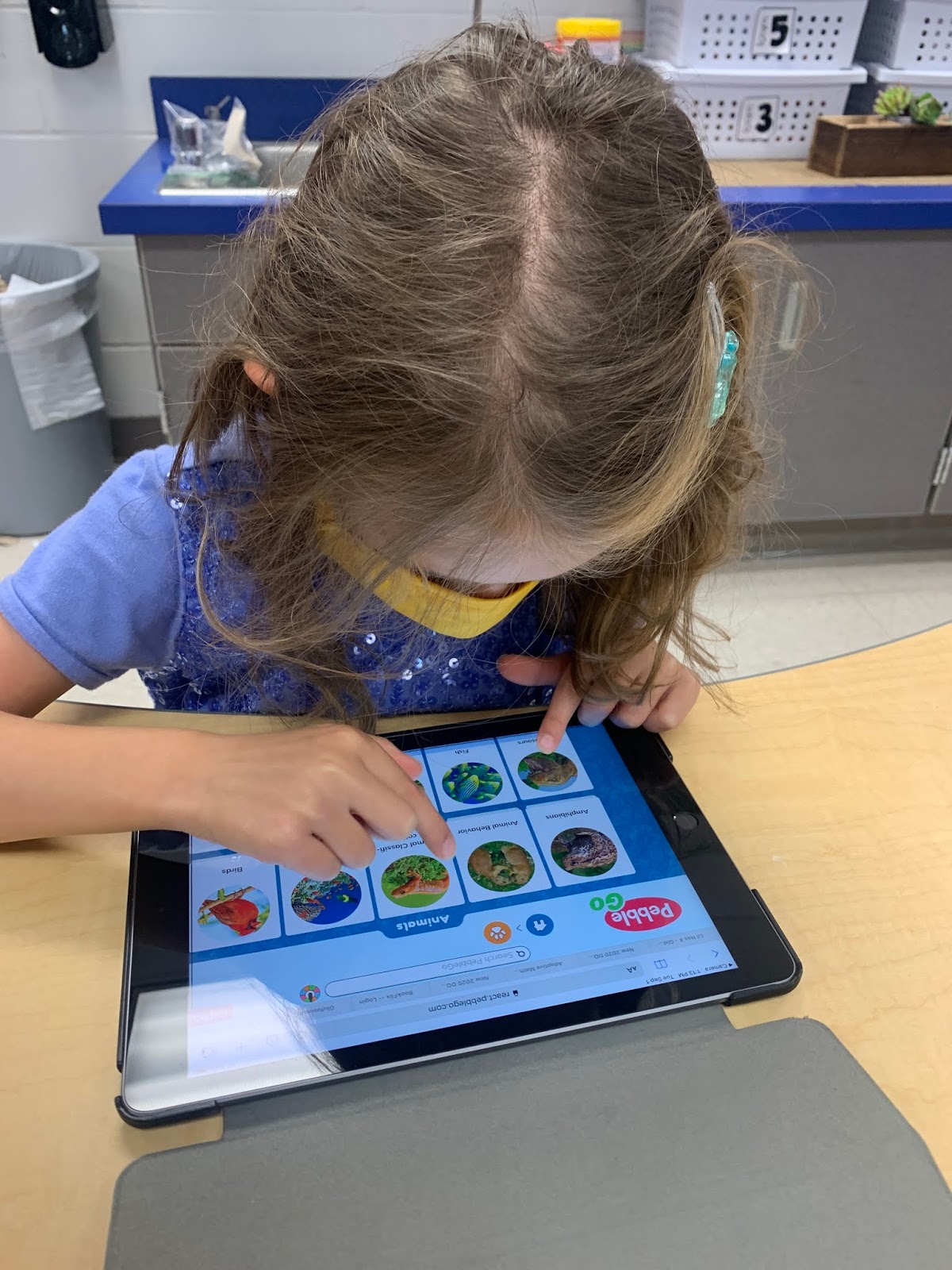 The Library Voice: PebbleGo Login Poster For Our Youngest Learners