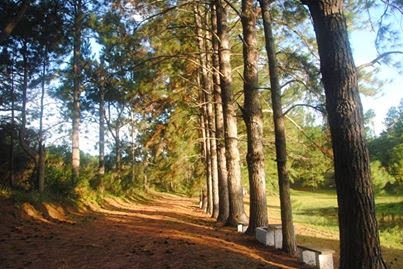 Sítio Panamar - Turismo Rural e Café Colonial - Pelotas,RS