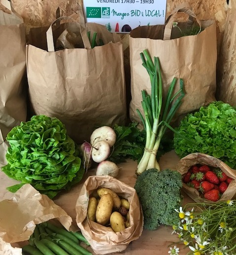 Paniers Légumes BIO