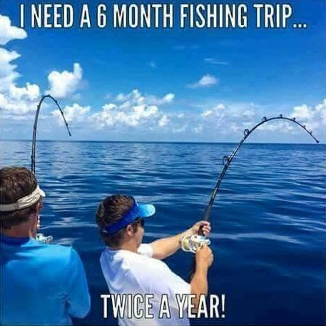 Funny Fishing Memes - Let's Fish and Laugh