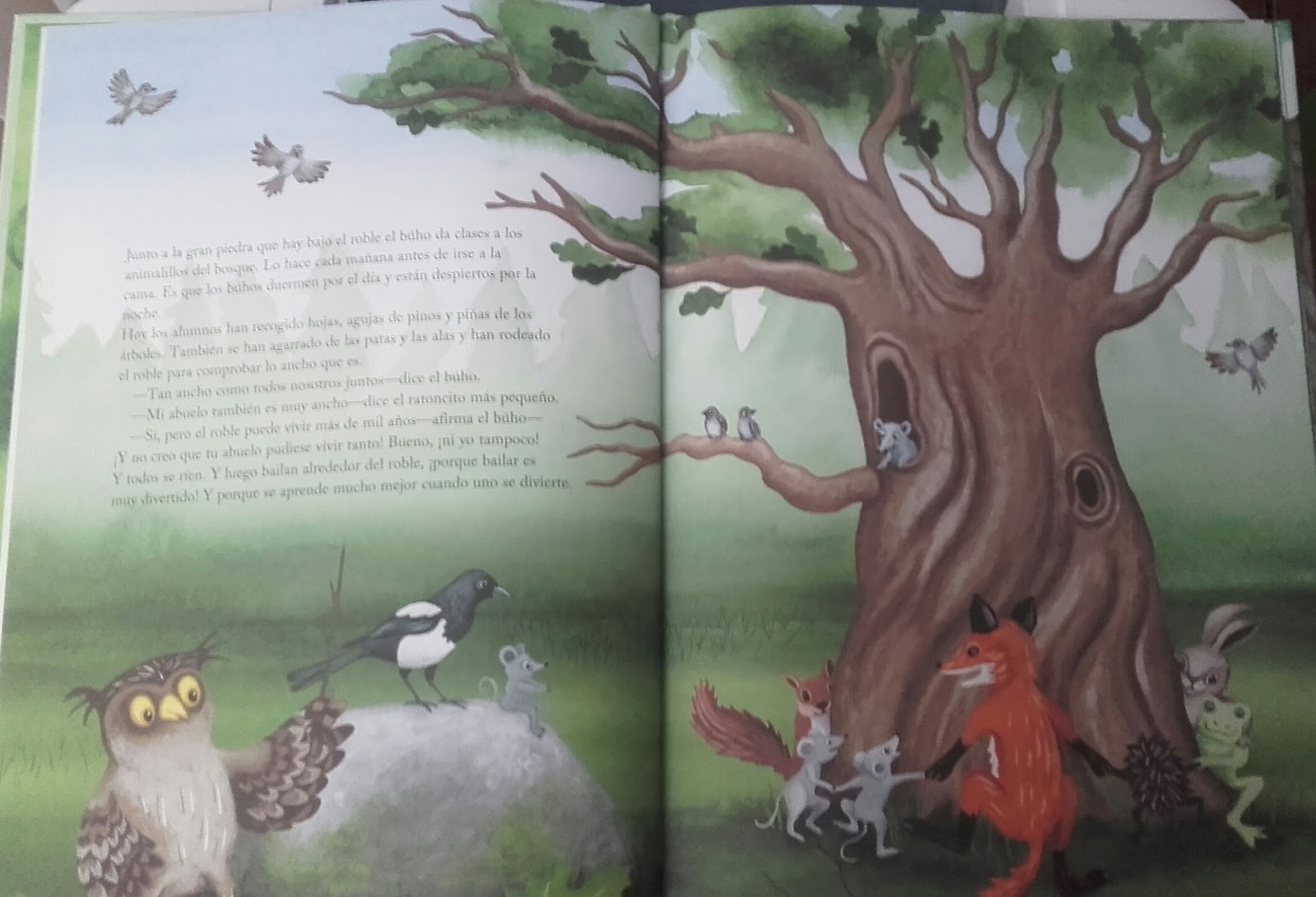 Coleccionando cuentos: El búho se va de vacaciones