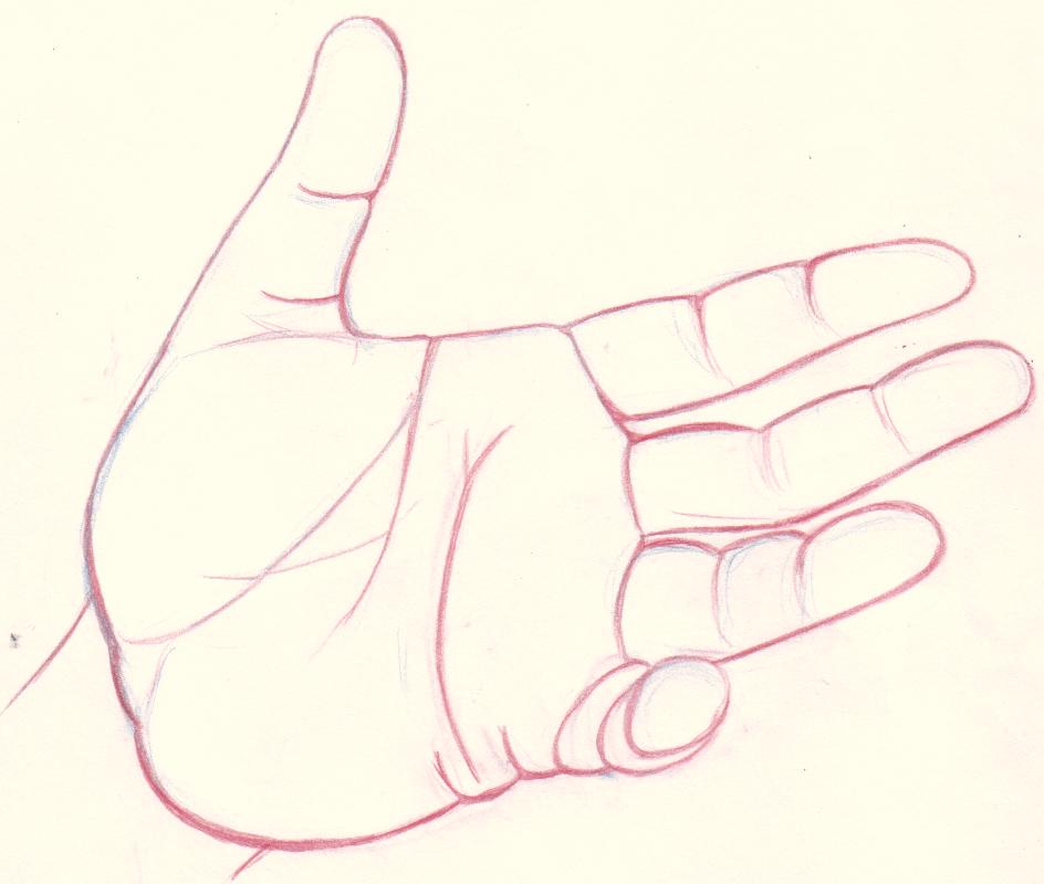 Magh Ene College - Art Gallery: Develop your portraiture - facial ...