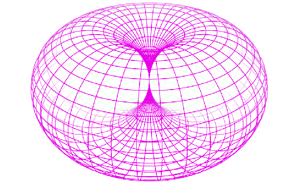 TENSEGRITY & FUNCTIONAL MOVEMENT
