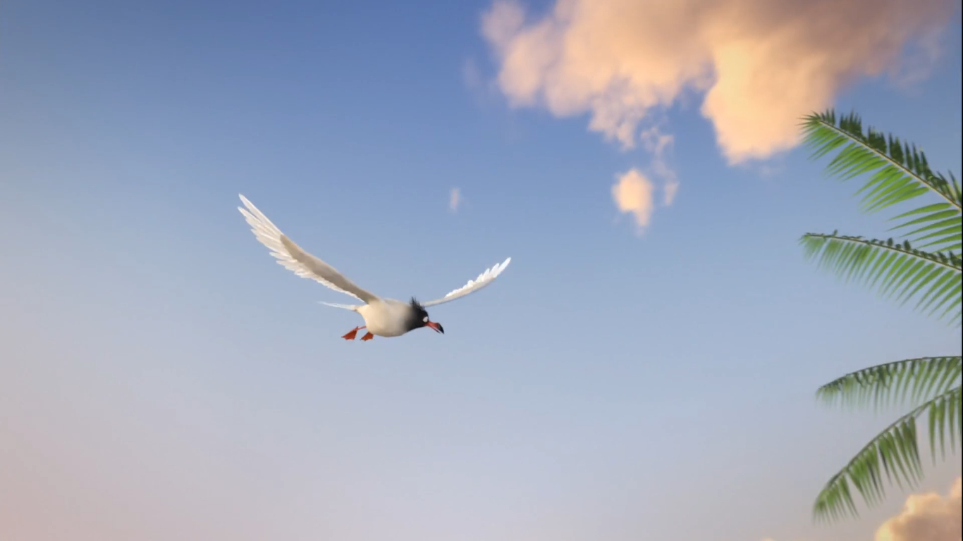 Birds Fly In Sky | Wallpaper Sammy's Adventures