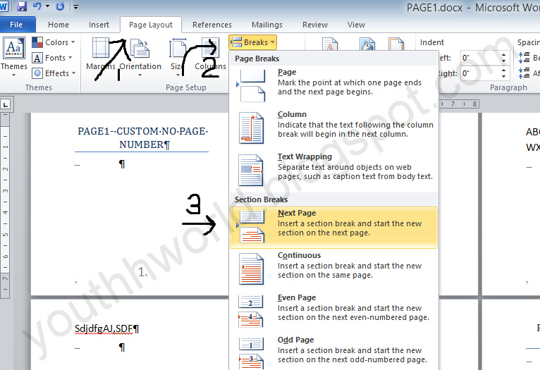 Custom Page numbers in Microsoft office word