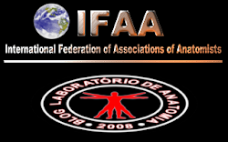 ANATOMIA, O MELHOR DA ANATOMIA - LABORATÓRIO de ANATOMIA: ANATOMIA, O ...