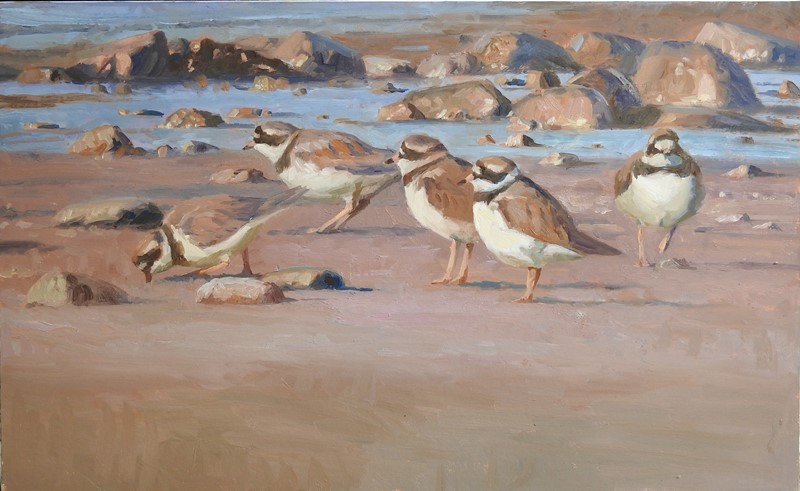 Tim Wootton Wildlife Art
