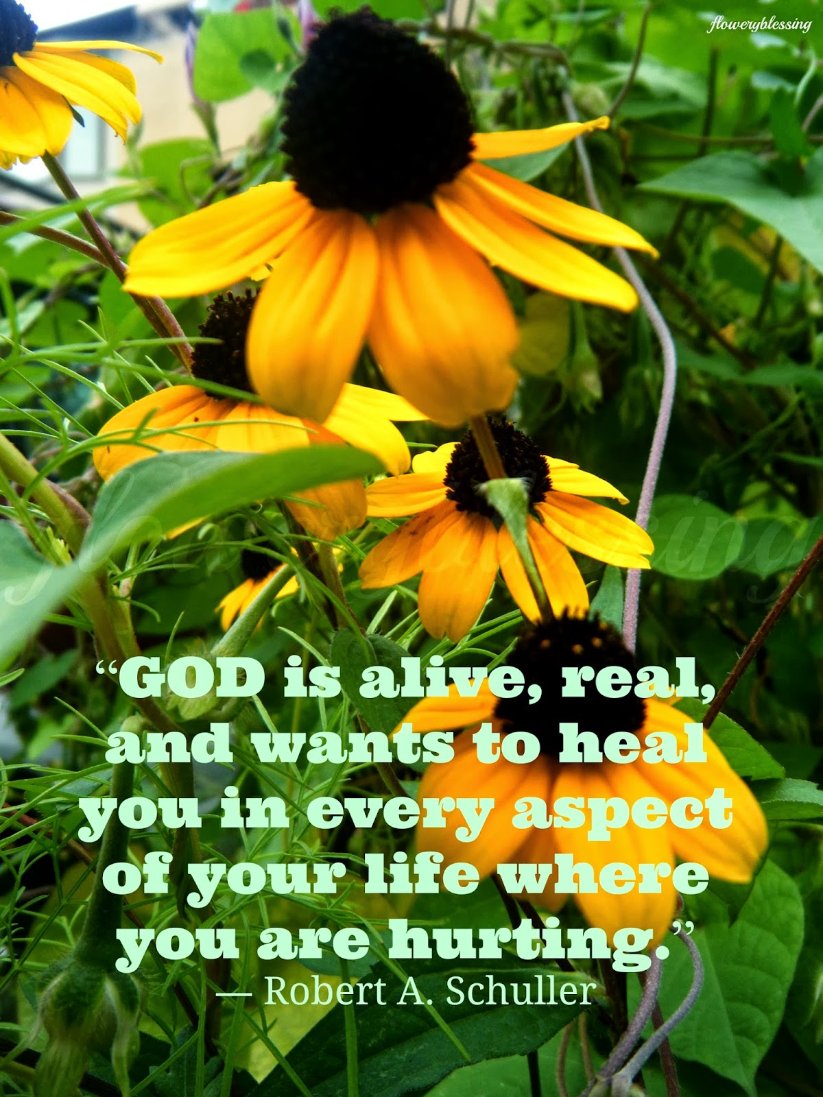 Flowery Blessing: “GOD is alive, real, and wants to heal you in every ...