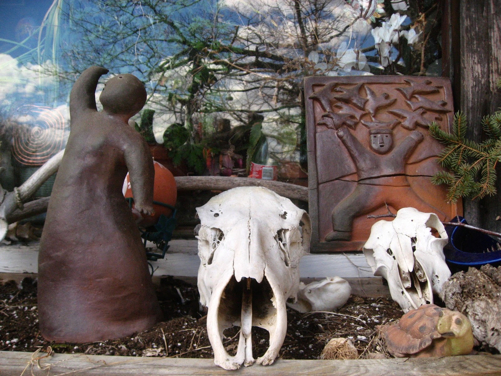 Jiling Lin, L.Ac. • Acupuncturist, Herbalist, Artist: new england spring: magic