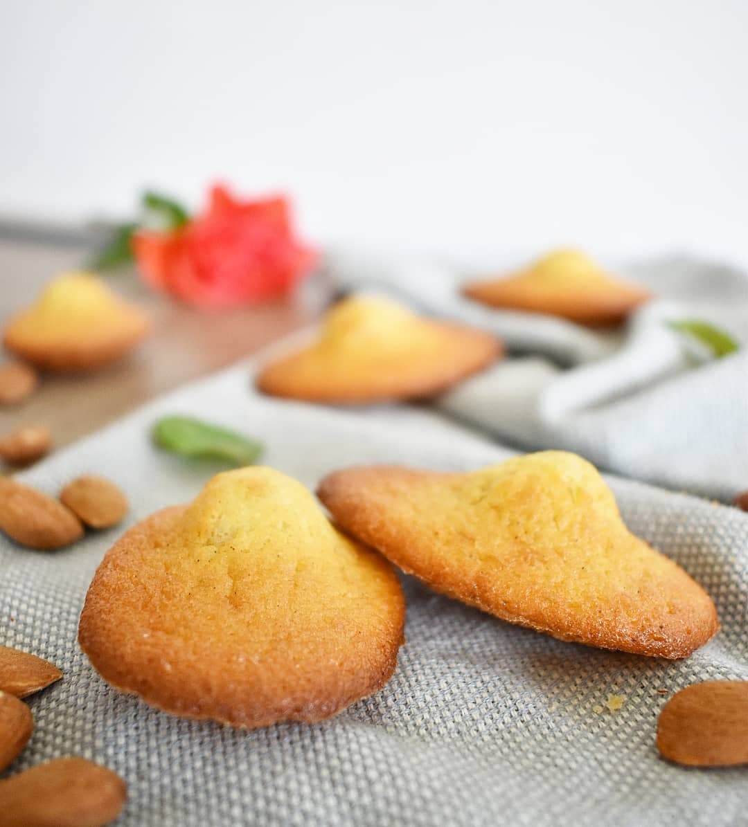 Les madeleines