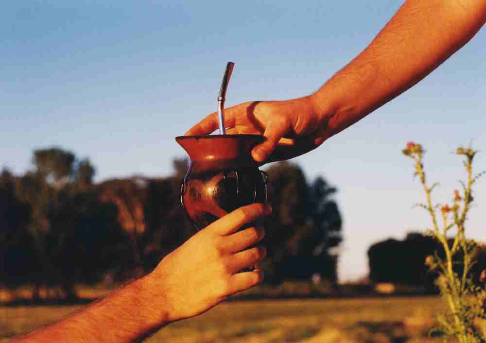 Mi Compañero El Mate