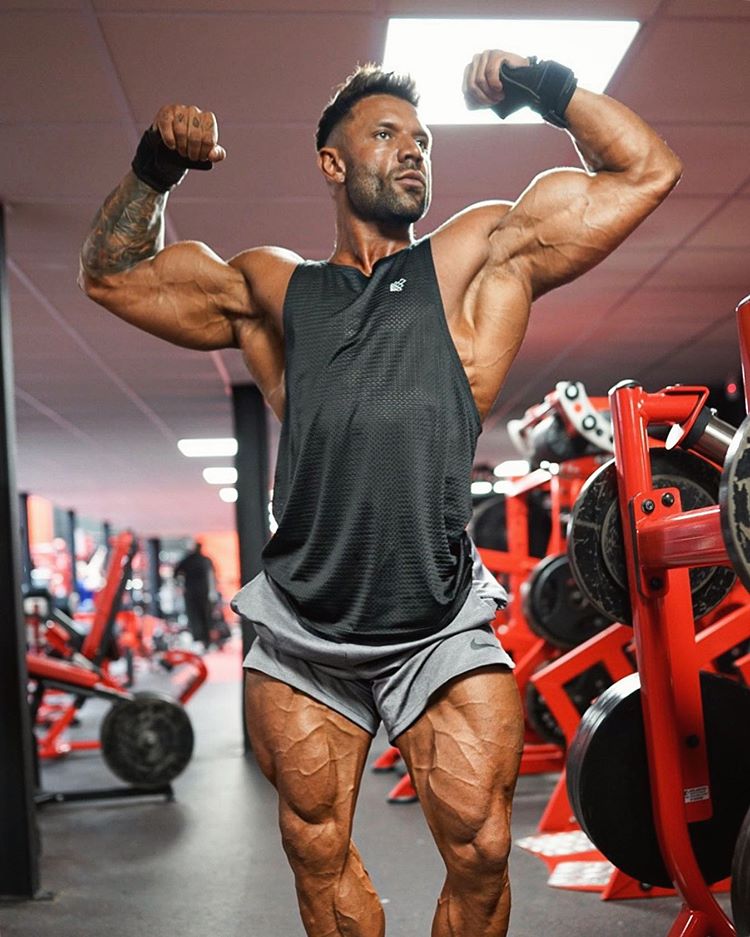 Muscle, Muscle, Muscle: Muscle