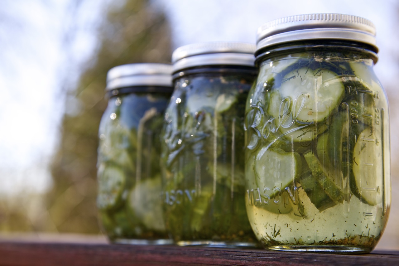 Fried Pink Tomato: What's the Dill, Pickle?