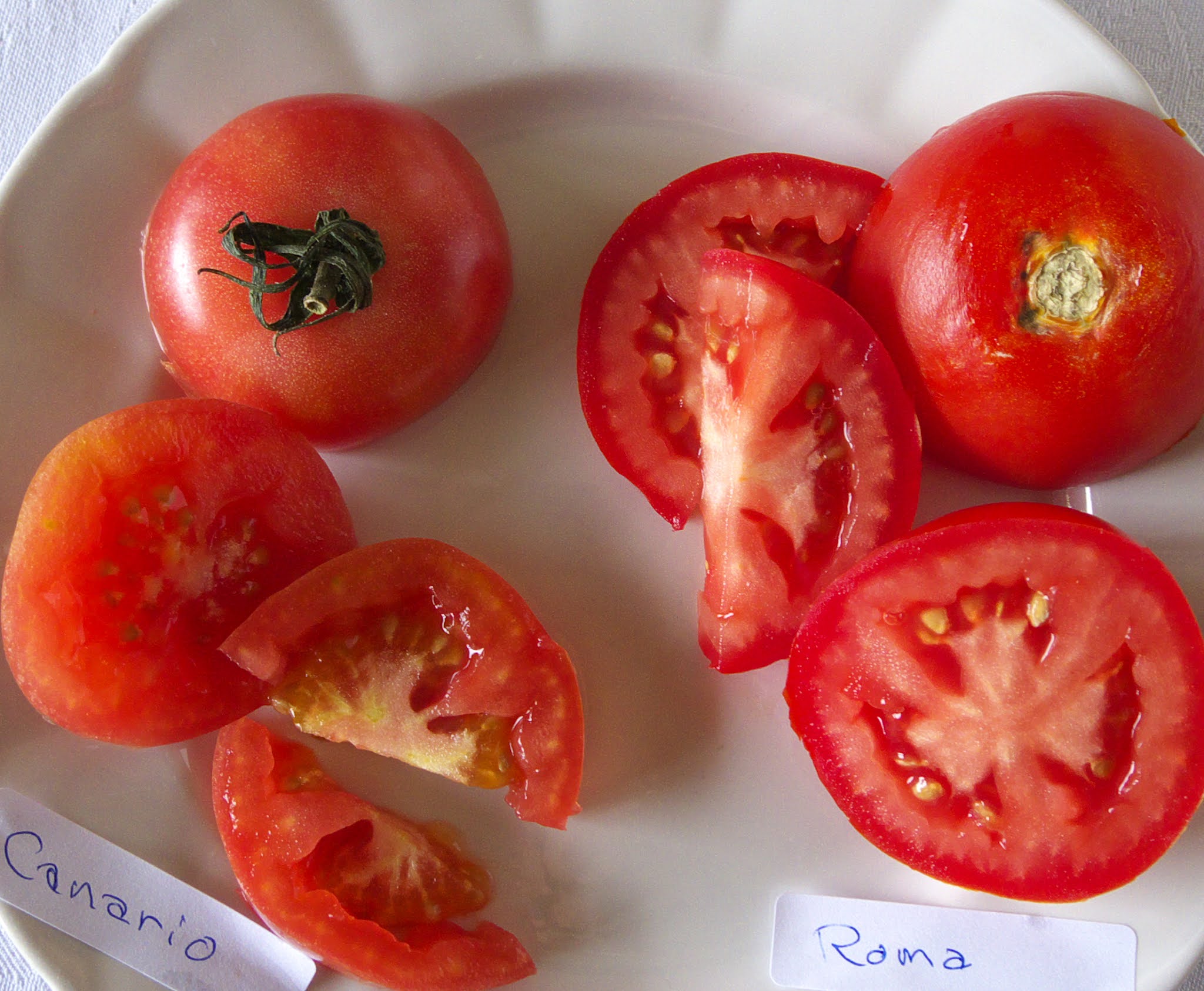 MY KITCHEN IN SPAIN: SEARCHING FOR THE BEST TOMATO