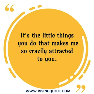 Top 30 Crush Status Quotes- Crush Quotes For WhatsApp (2021)