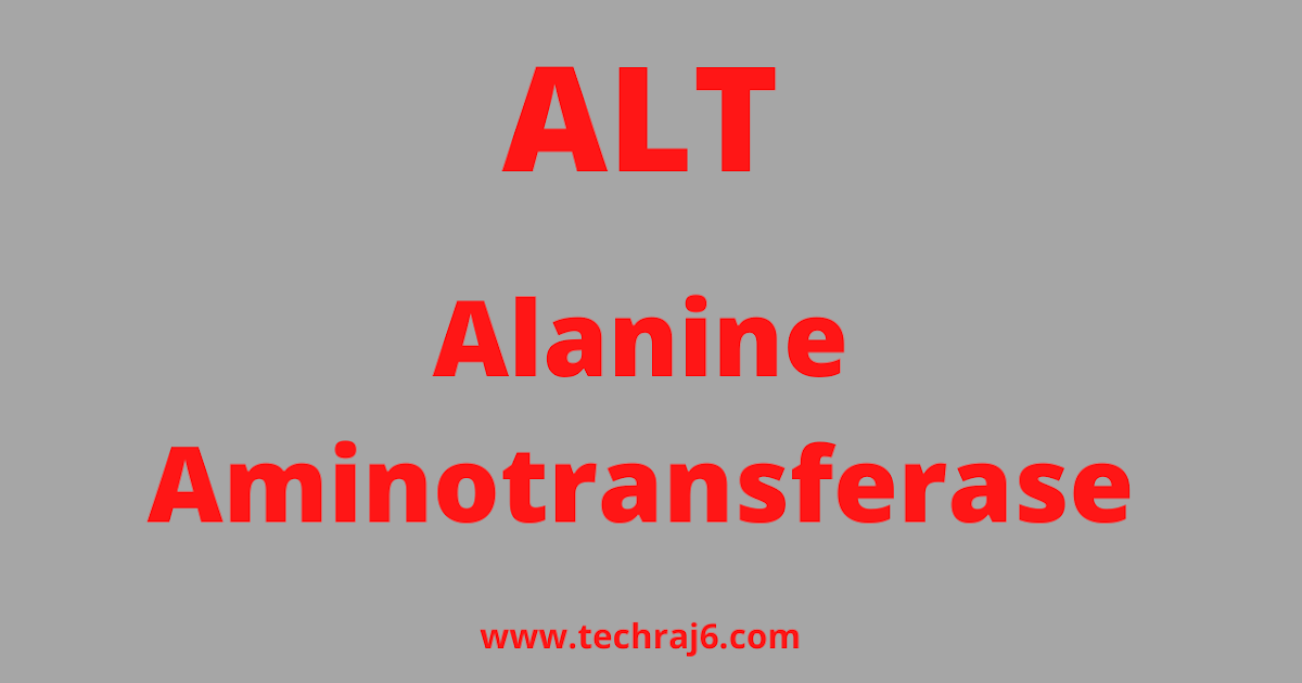ALT full form, What is the full form of ALT