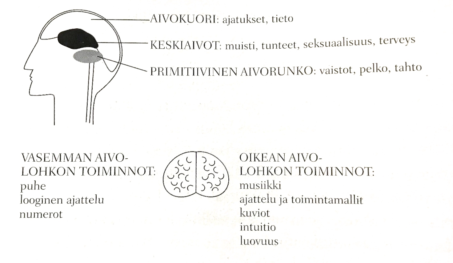 HELLSTRÖM: Pedagogiikkaa ja koulupolitiikkaa: Opas elinikäisen ...