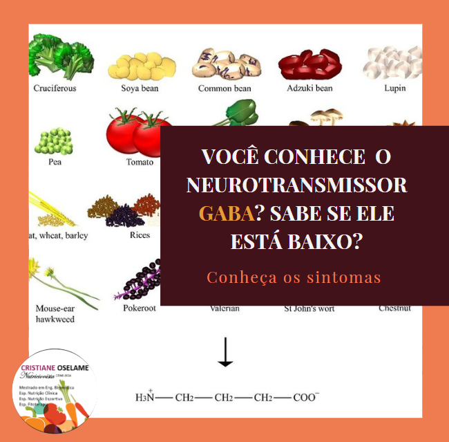 NUTRIÇÃO MAIS SABOR E SAÚDE: VOCÊ ESTÁ COM O NEUROTRANSMISSOR GABA ...