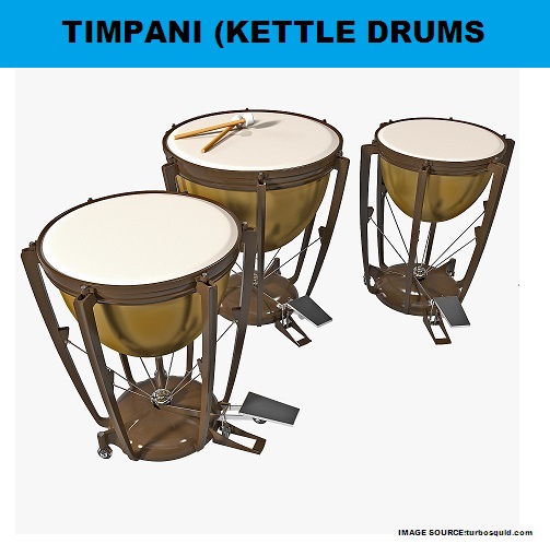 My Homeworks: PERCUSSION INSTRUMENT-TIMPANI (KETTLE DRUM),