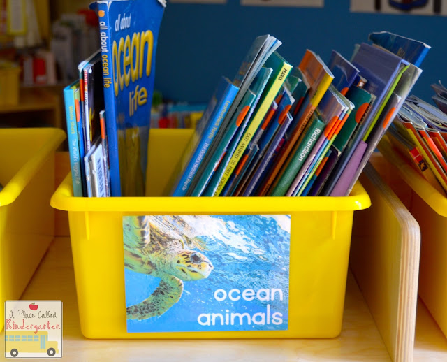 A Place Called Kindergarten: nonfiction book bin labels