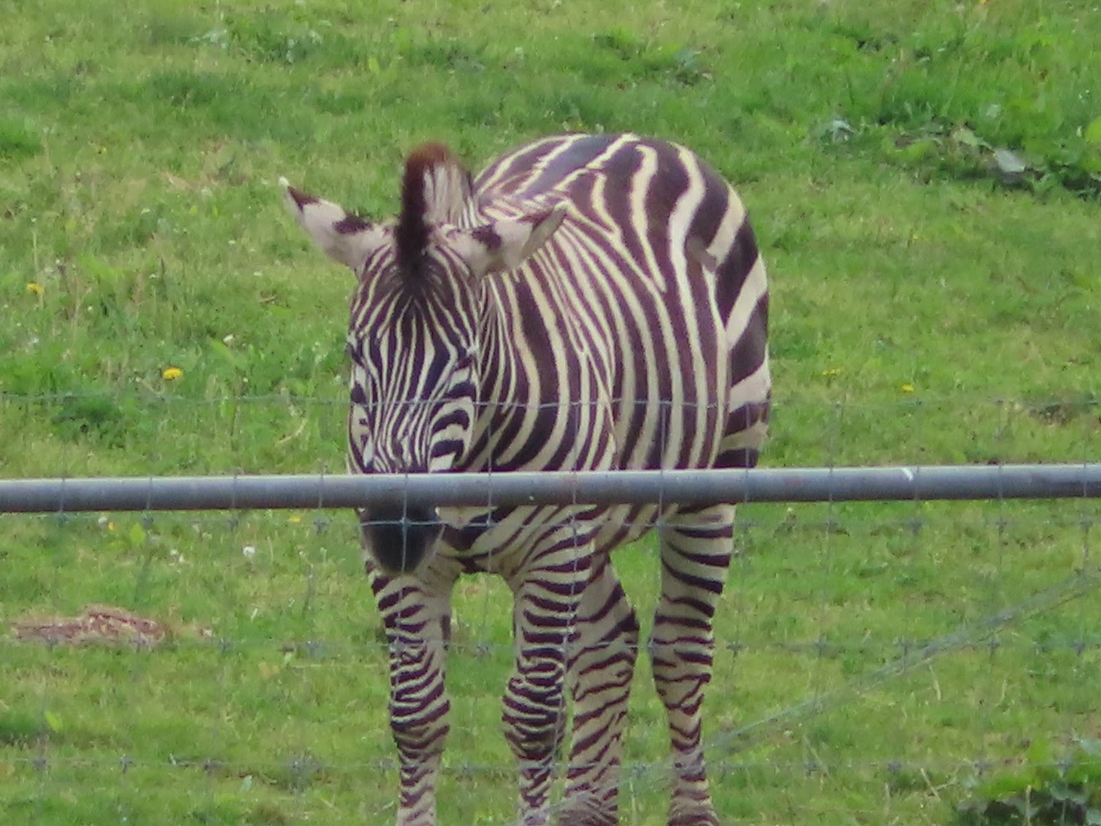 Two Lane Adventures: Two Lane Adventure to Ohio – Friday, May 17th 2019