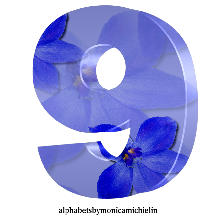 M. Michielin Alphabets: BLUE WILD FLOWERS ALPHABET, ICONS AND NUMBERS ...