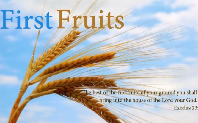 First Fruits Offering, Should Christians Give? - E. A OLATOYE'S BLOG