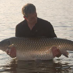 WORLD RECORD CARP - News about record fish and carp fishing in France ...