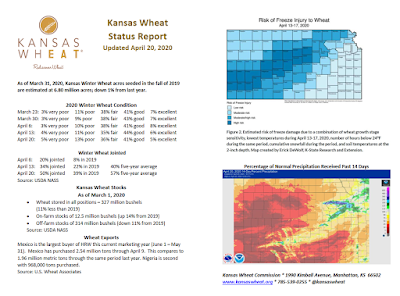 Kim's County Line: Is the Wheat Crop Toast? A Wheat Update