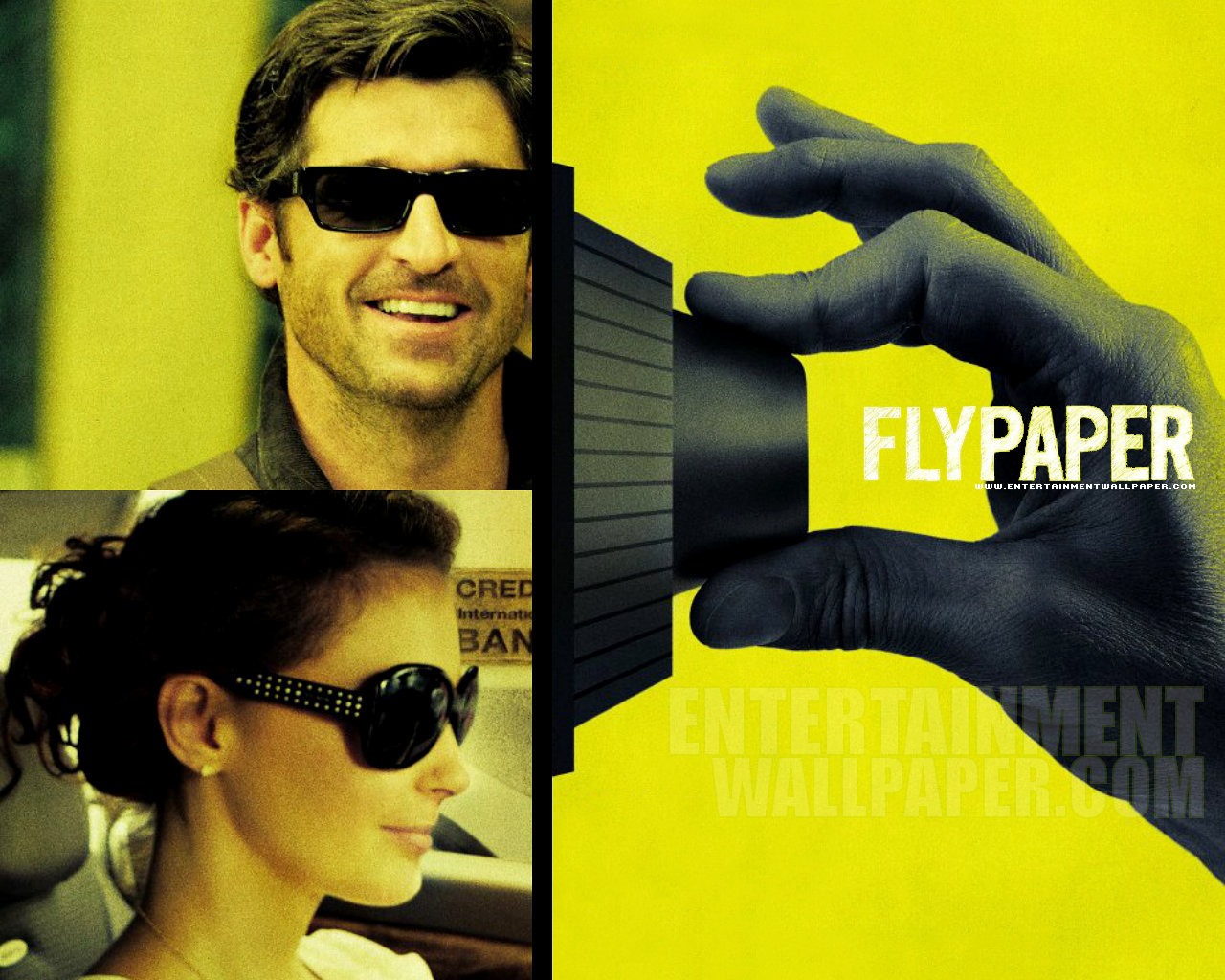 El Crítico: Flypaper (2011)