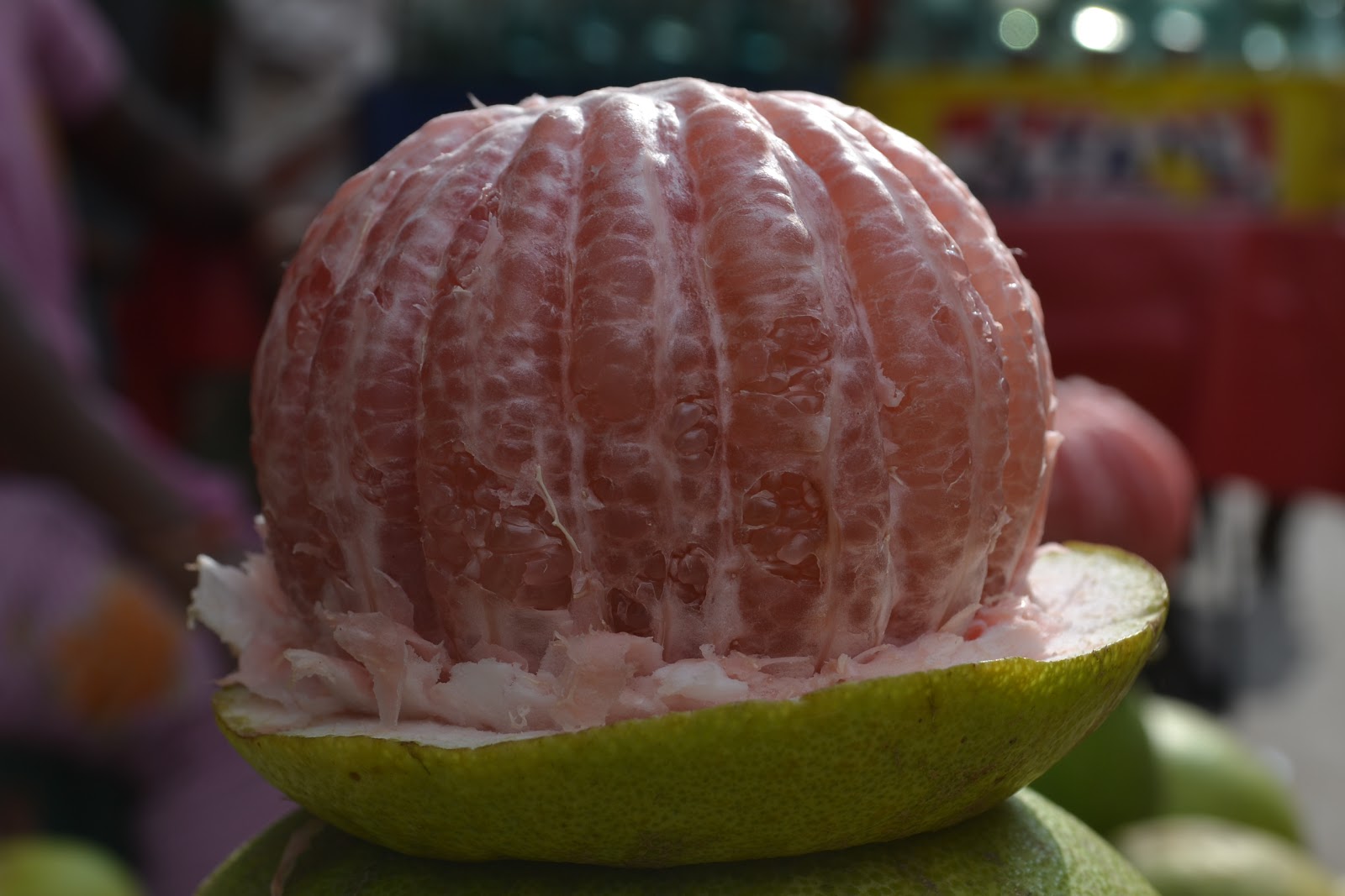 CHHAYACHITRA: Gagar nimbu..Robab tenga..