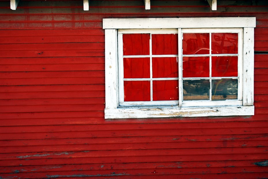 Adventures & Misadventures of Daily Living: 101 Amazing Reasons