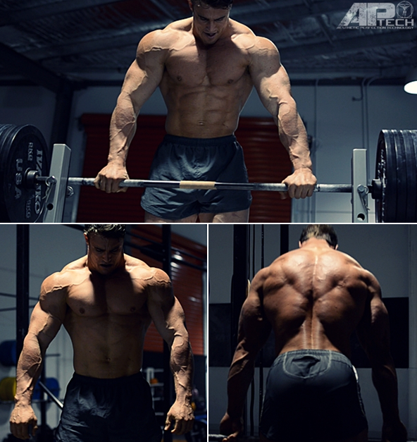 Muscle, Muscle, Muscle: Muscle