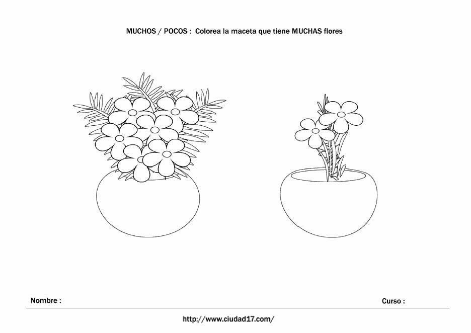 CONCEPTO MUCHO Y POCO