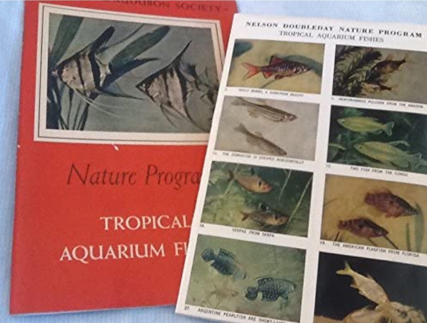 Tropical Fish Books Author Herbert Axelrod : Tropical fish authors TFH ...