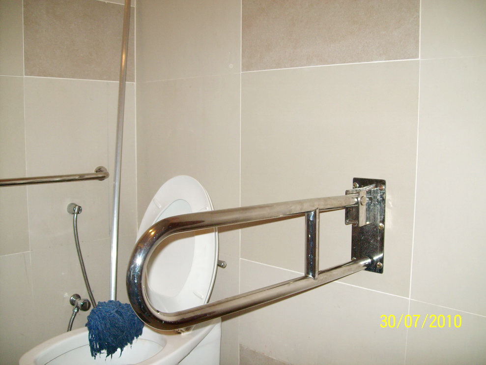 Wheelchair Access Penang (wapenang): Toilet (WC) For Disabled People