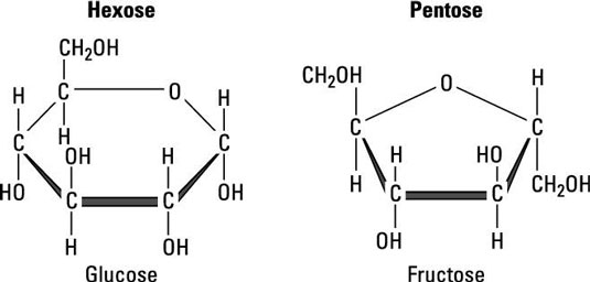 Asteraceae: Componentes orgânicos