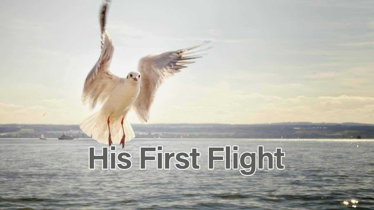 His First Flight