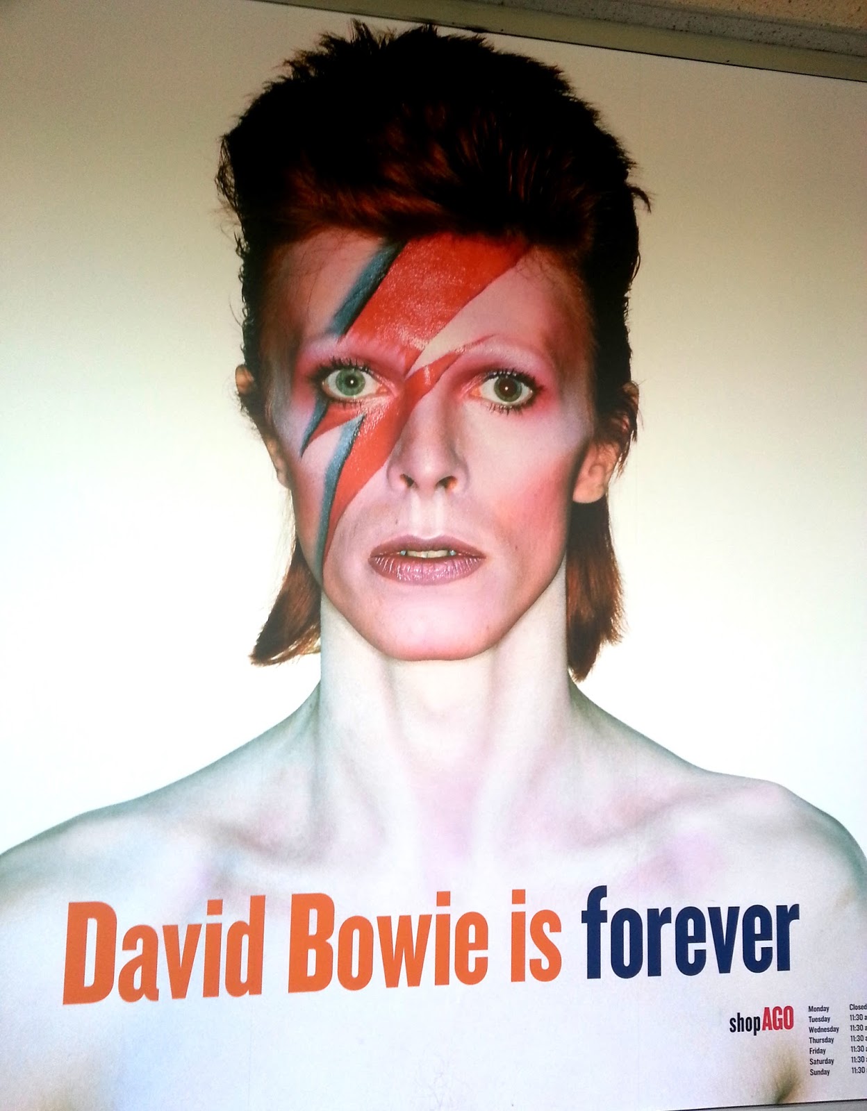 David Bowie RIP